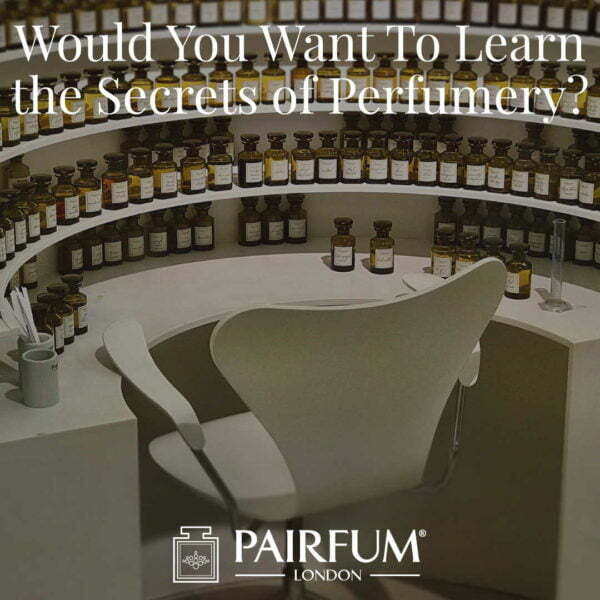 Let's Talk Perfume! Would You Like to Know How? - Pairfum London