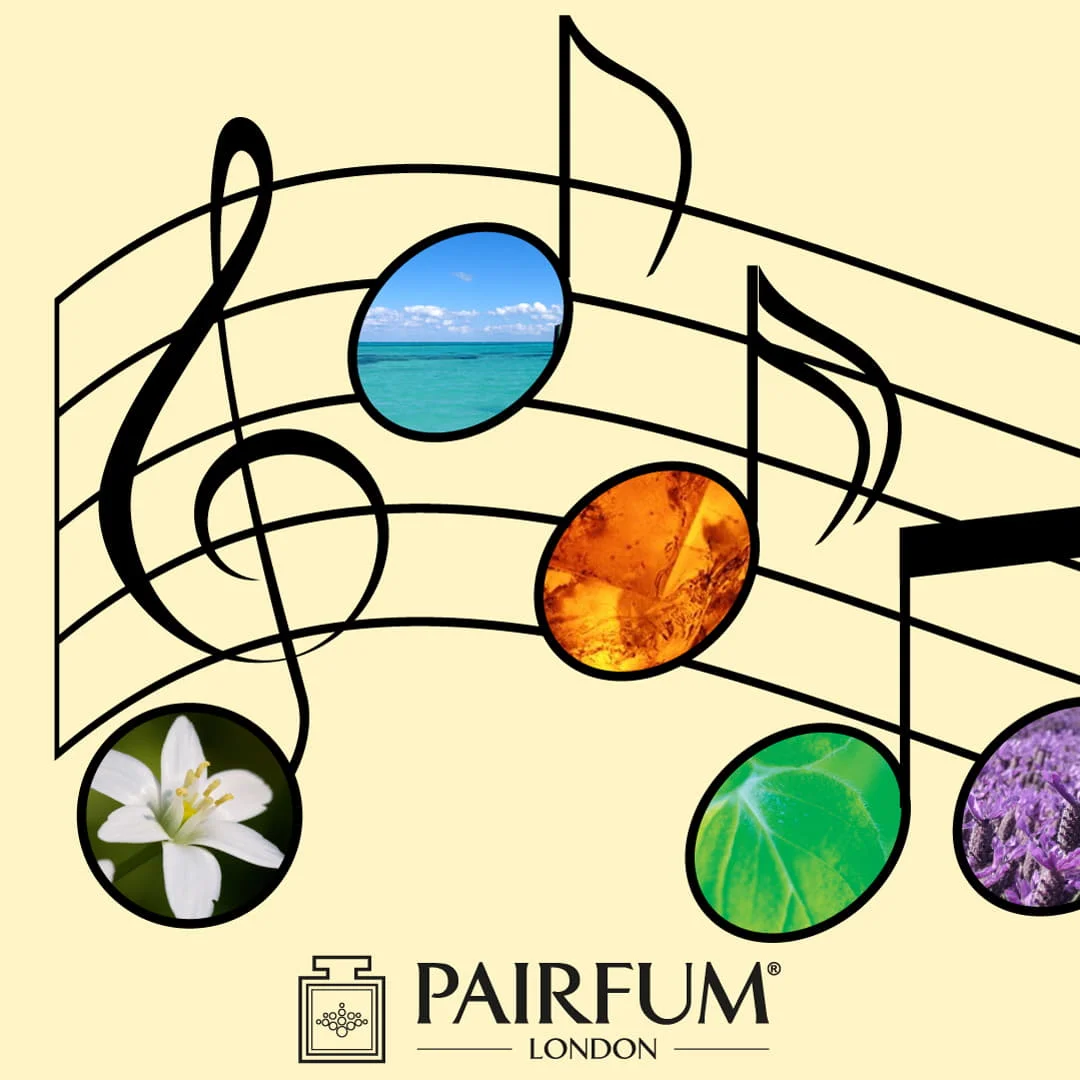 The Language of Fragrance: Understanding the Notes and Accords of Niche