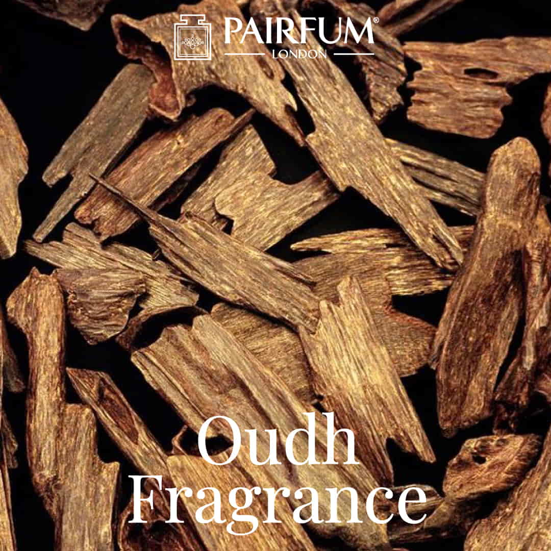 Oud Fragrance: The Essence of Arabic Perfumes