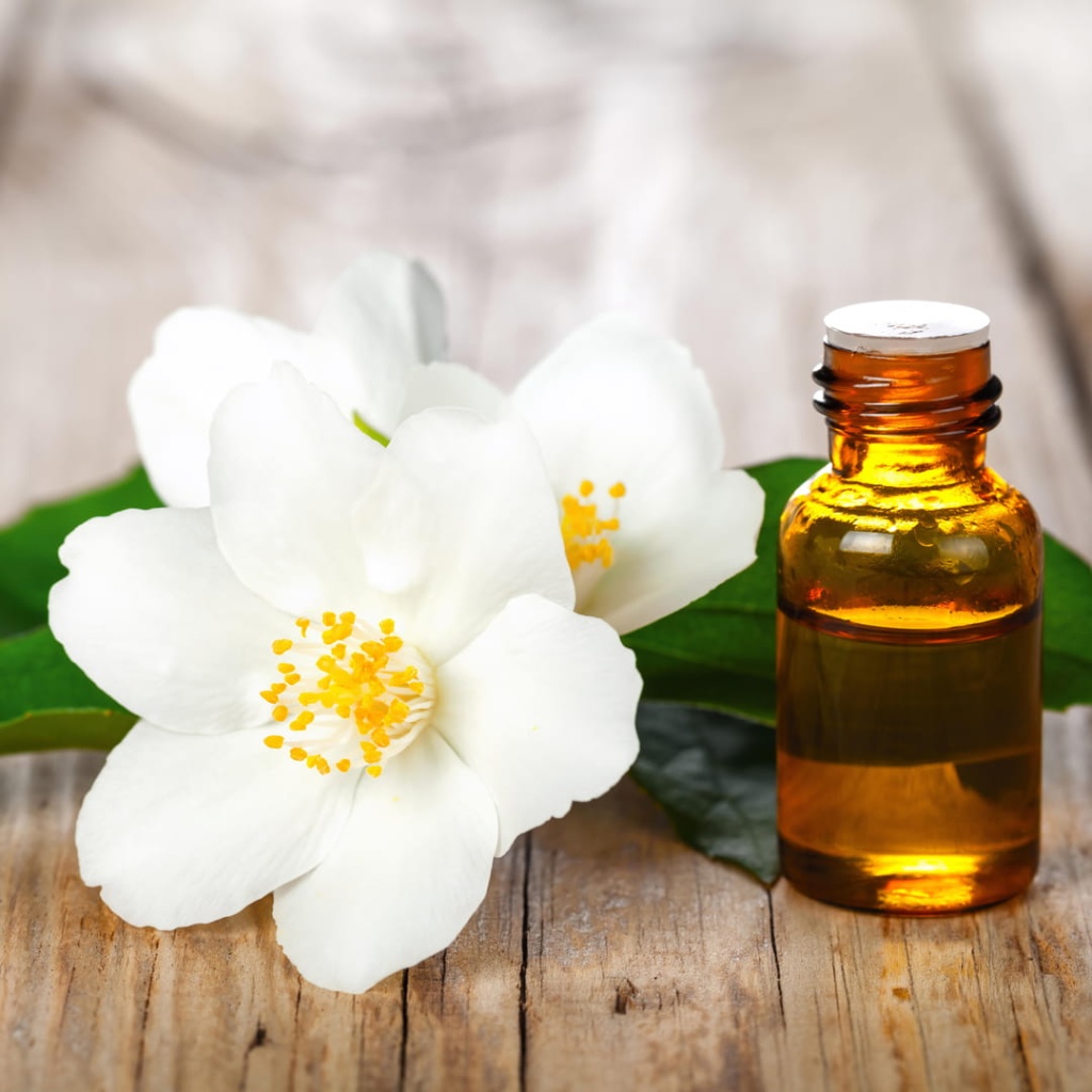 Enfleurage: Explore the Captivating Soul of Flowers in Perfumery