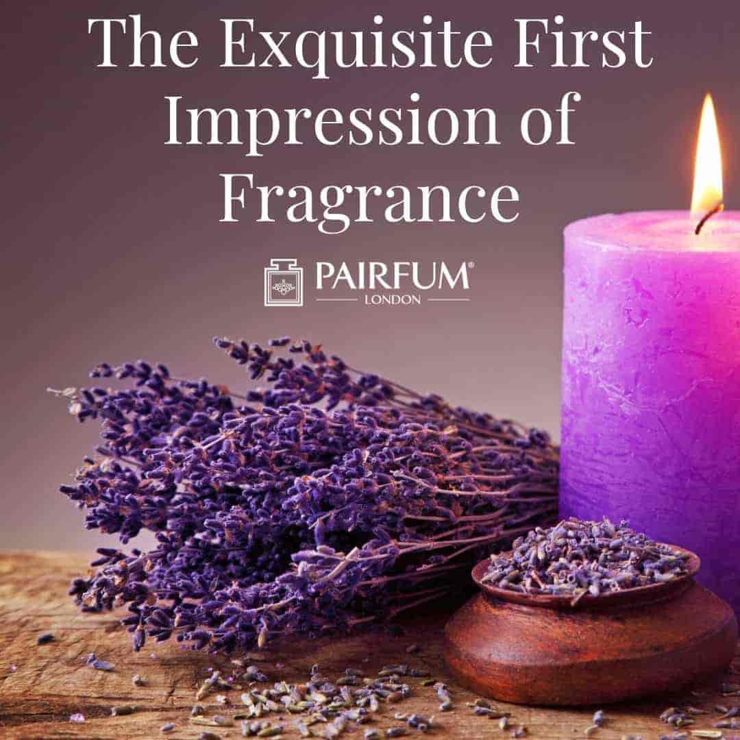 Top Notes In Perfume: The Exquisite First Impression of a Fragrance