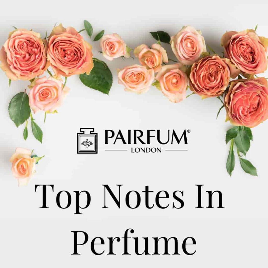 Top Notes In Perfume: The Exquisite First Impression of a Fragrance