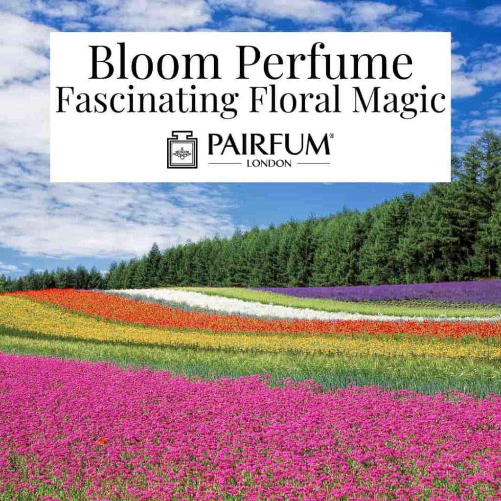 Bloom Perfume: Fascinating Floral Magic