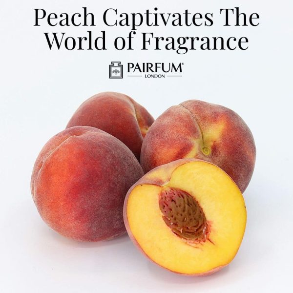 Peach Captivates The World of Fragrance