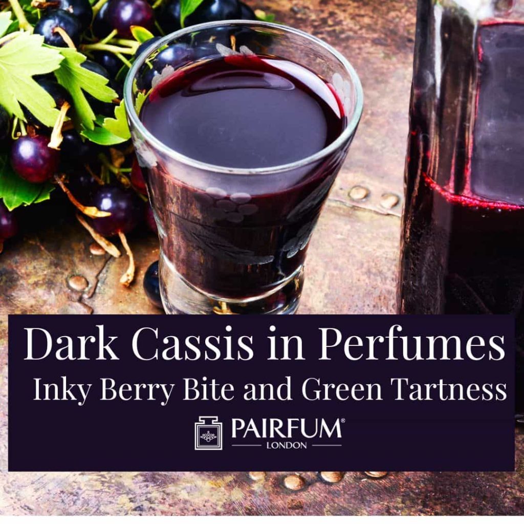 Cassis Fragrance: A Deep, Dark and Fruity Scent