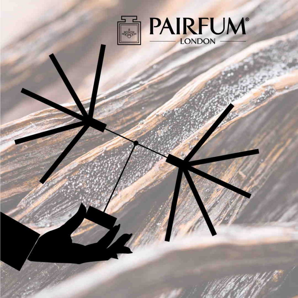 Photo Gallery Perfume Smelling Strips by PAIRFUM London