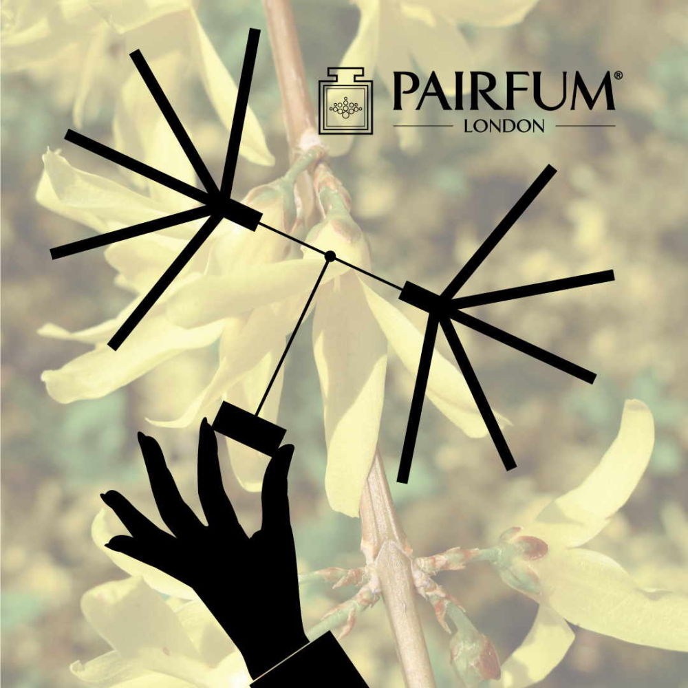 Photo Gallery Perfume Smelling Strips by PAIRFUM London